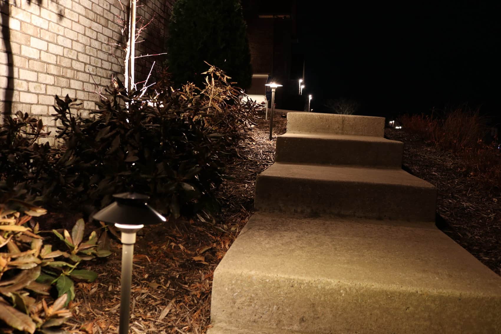 College Grove Professional Landscape Lighting Design and Installation