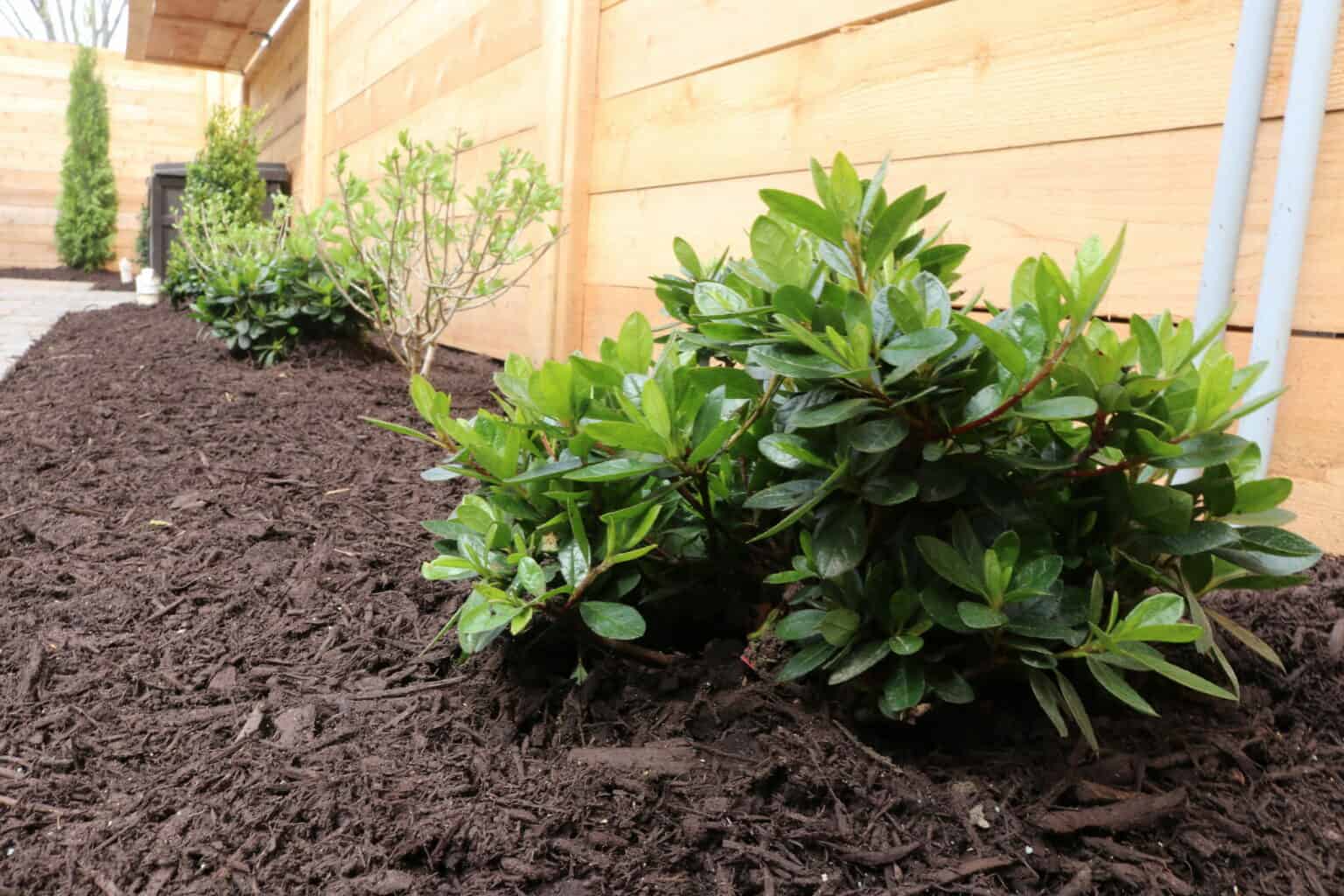 Nashville Tn Mordern Landscape Design - Quigley's Landscaping